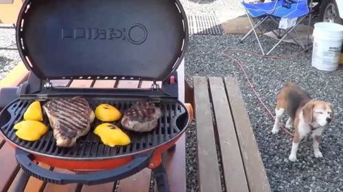 Portable Gas Grills - Unique Design - O-Grill Brand